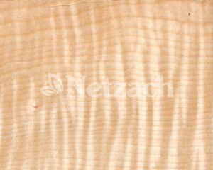 Natural Veneers - Netzach